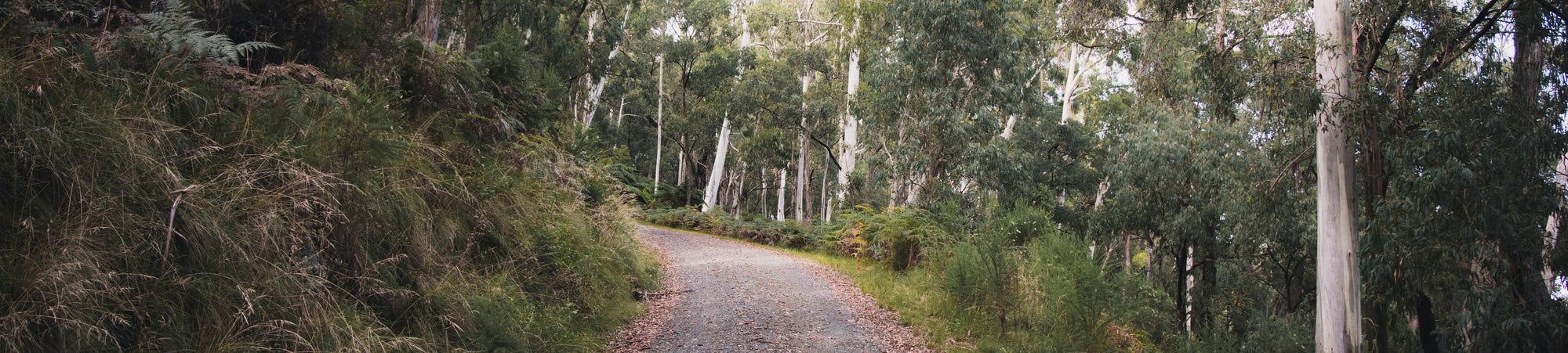 Drysonic Solutions Australia | Sustainability